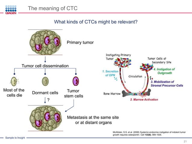 Ctc Detection And Molecular Characterization Challenges And Solutions
