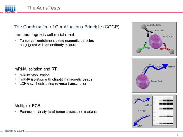 CTC Detection and Molecular Characterization – Challenges and Solutions ...
