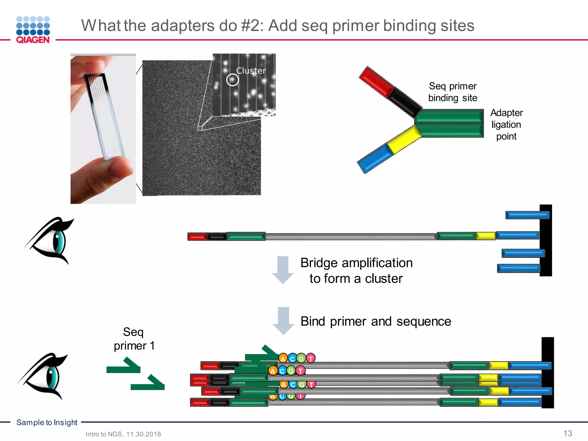 Introduction to Next-Generation Sequencing (NGS) Technology | PDF