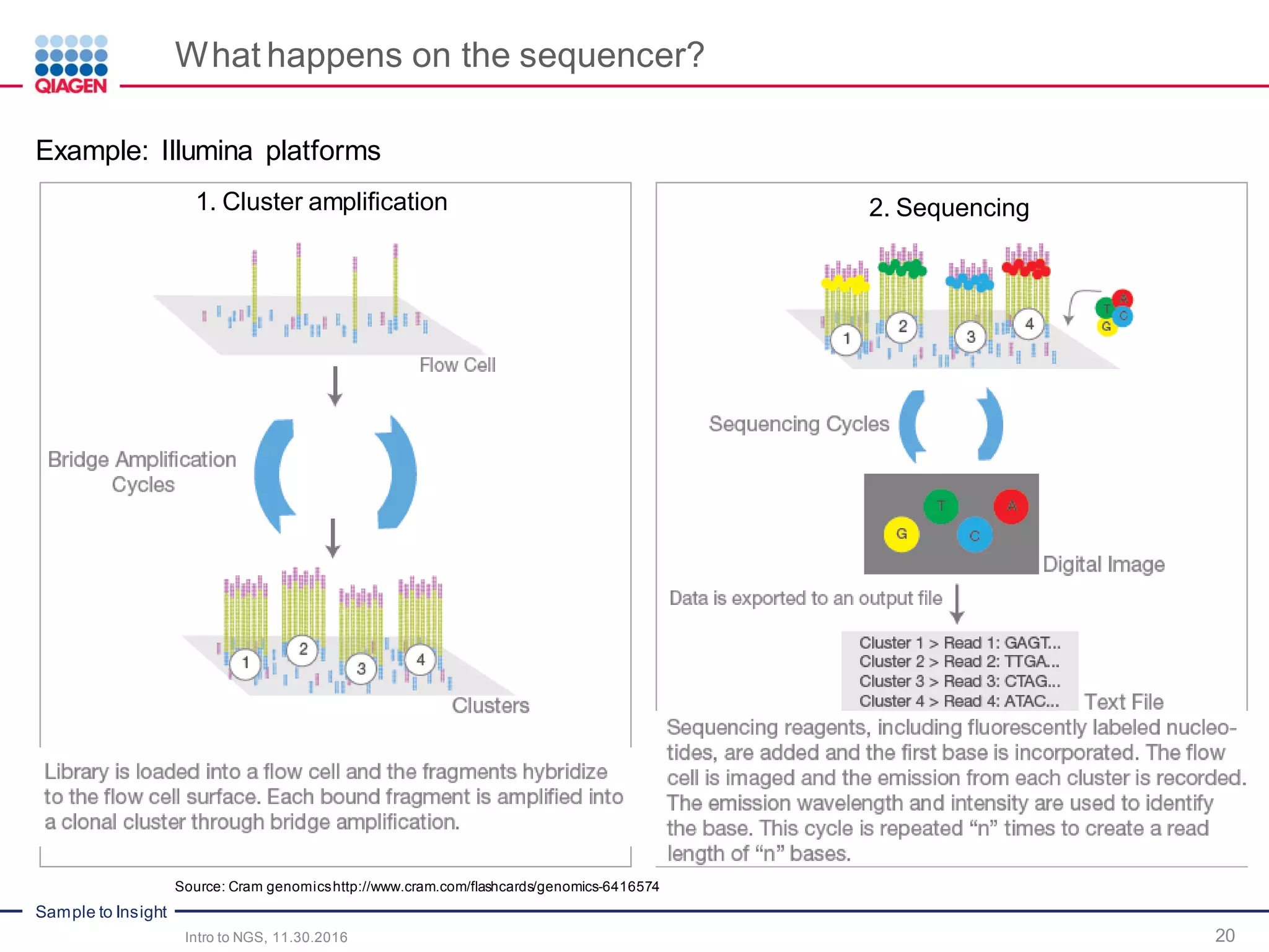 Introduction to Next-Generation Sequencing (NGS) Technology | PDF