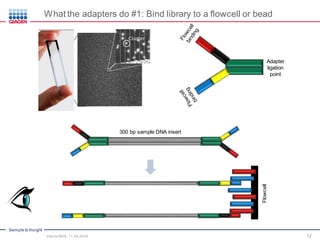 Introduction to Next-Generation Sequencing (NGS) Technology | PPT