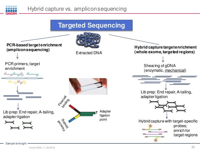 Introduction to Next-Generation Sequencing (NGS) Technology