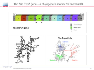 Microbiome Profiling with the Microbial Genomics Pro Suite | PDF