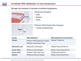 Back to basics: Fundamental Concepts and Special Considerations in RNA ...