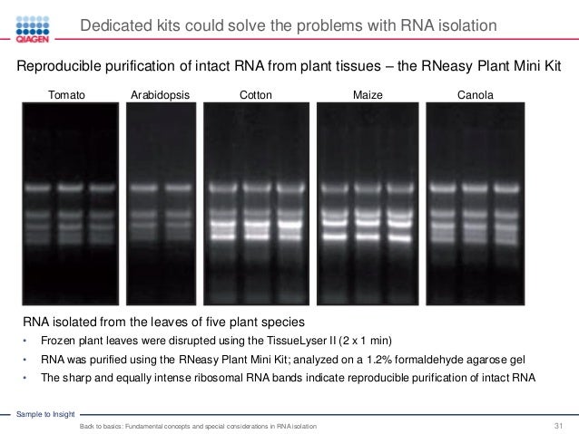 Reverse Isolation Neutropenic