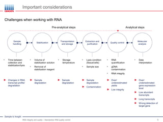 RNA integrity and quality - Standardize RNA quality control | PDF
