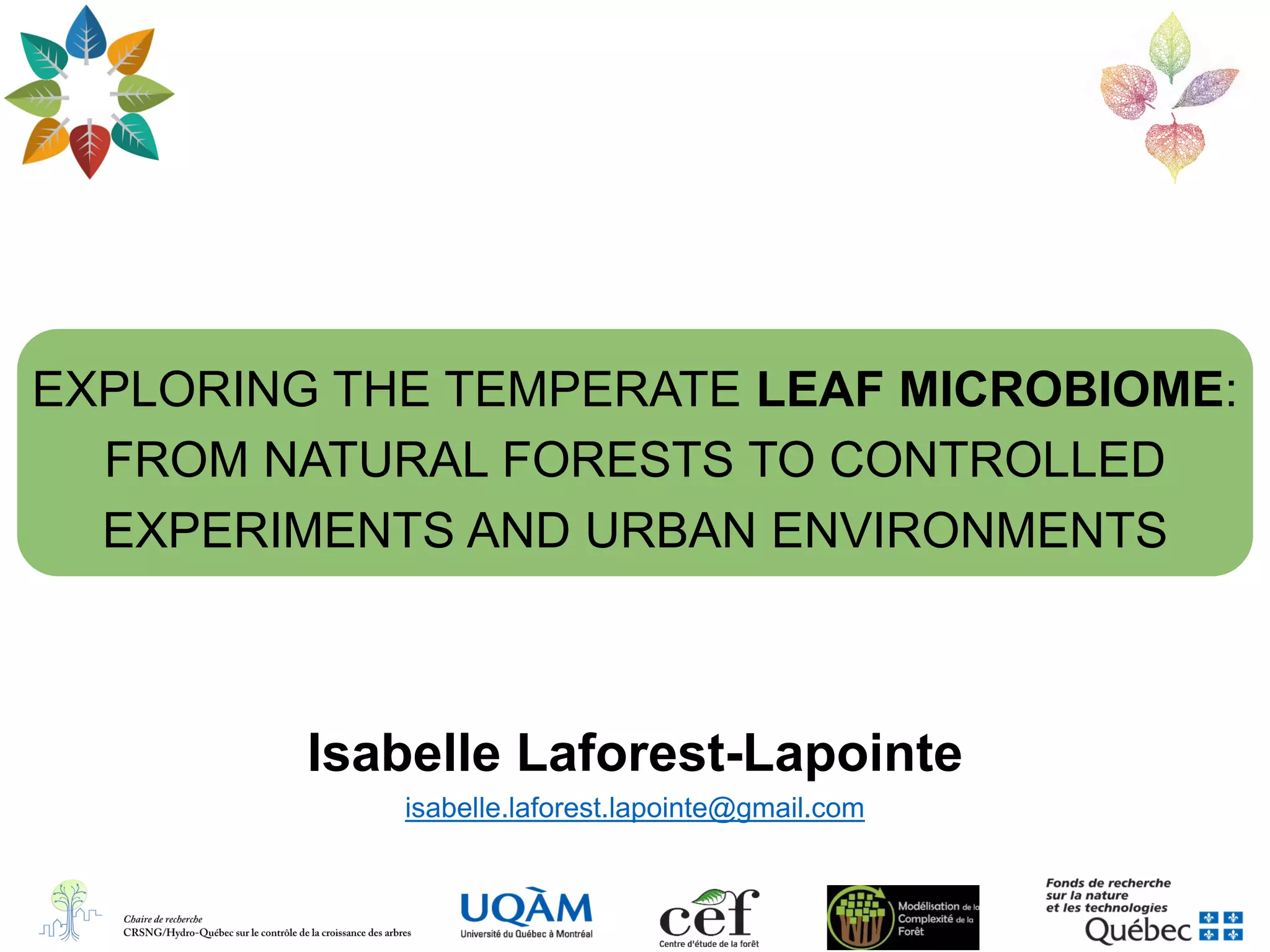 Exploring the Temperate Leaf Microbiome: From Natural Forests to ...