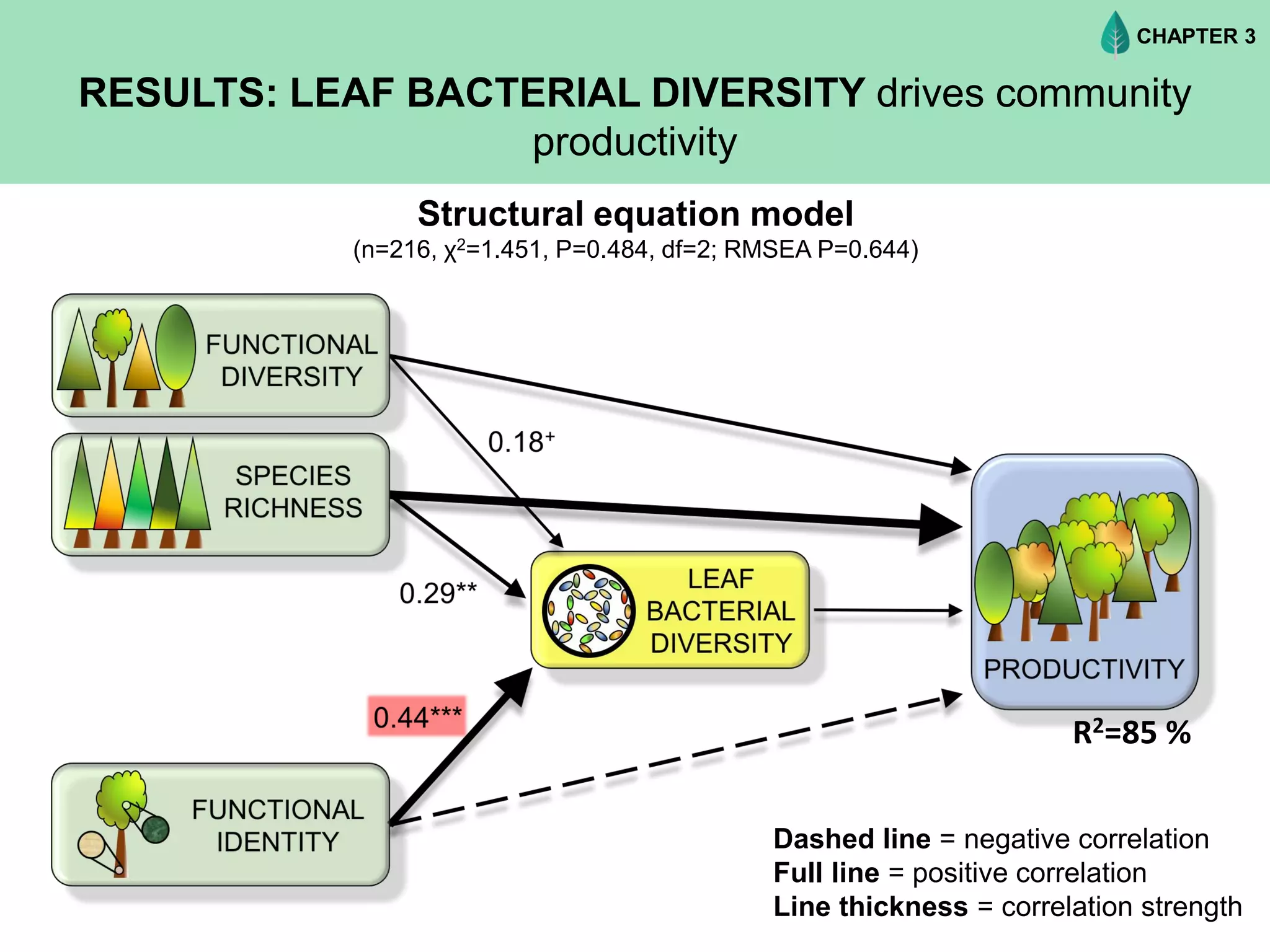 Exploring the Temperate Leaf Microbiome: From Natural Forests to ...