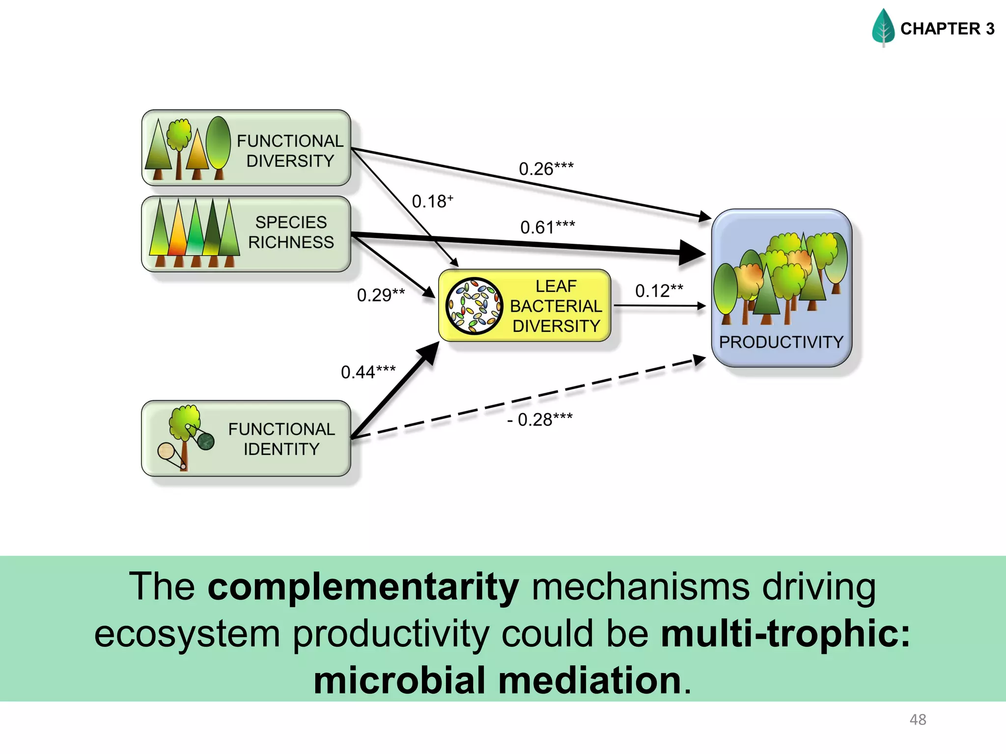 Exploring the Temperate Leaf Microbiome: From Natural Forests to ...