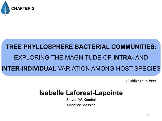 Exploring the Temperate Leaf Microbiome: From Natural Forests to ...