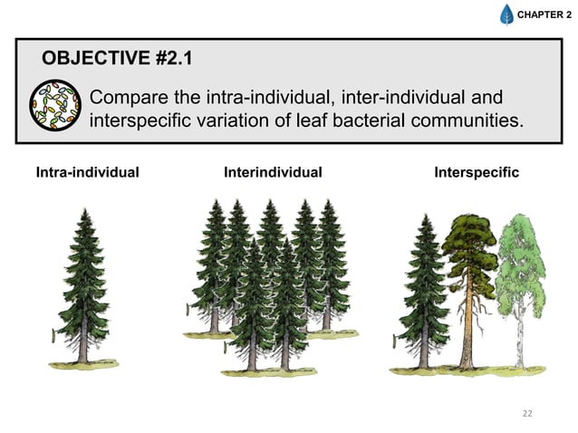 Exploring the Temperate Leaf Microbiome: From Natural Forests to ...