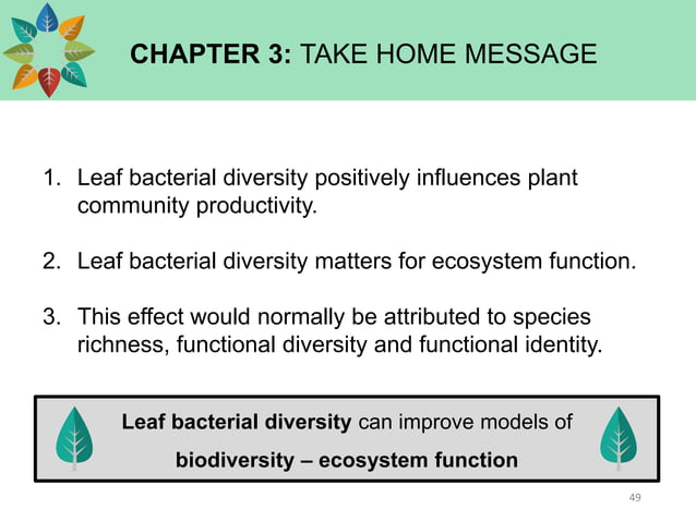 Exploring the Temperate Leaf Microbiome: From Natural Forests to ...