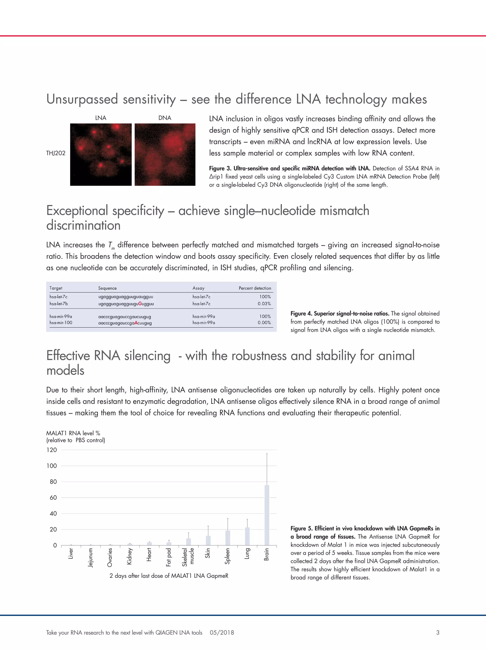 Take your RNA research to the next level with QIAGEN LNA tools! | PDF ...