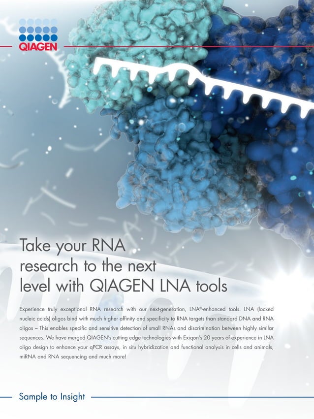 Take your RNA research to the next level with QIAGEN LNA tools! | PDF ...