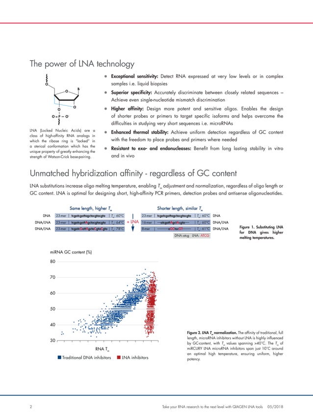 Take your RNA research to the next level with QIAGEN LNA tools! | PDF ...
