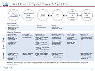 QIAGEN LNA Tools - Experience truly exceptional RNA Research | PDF ...