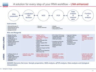 QIAGEN LNA Tools - Experience truly exceptional RNA Research | PPT