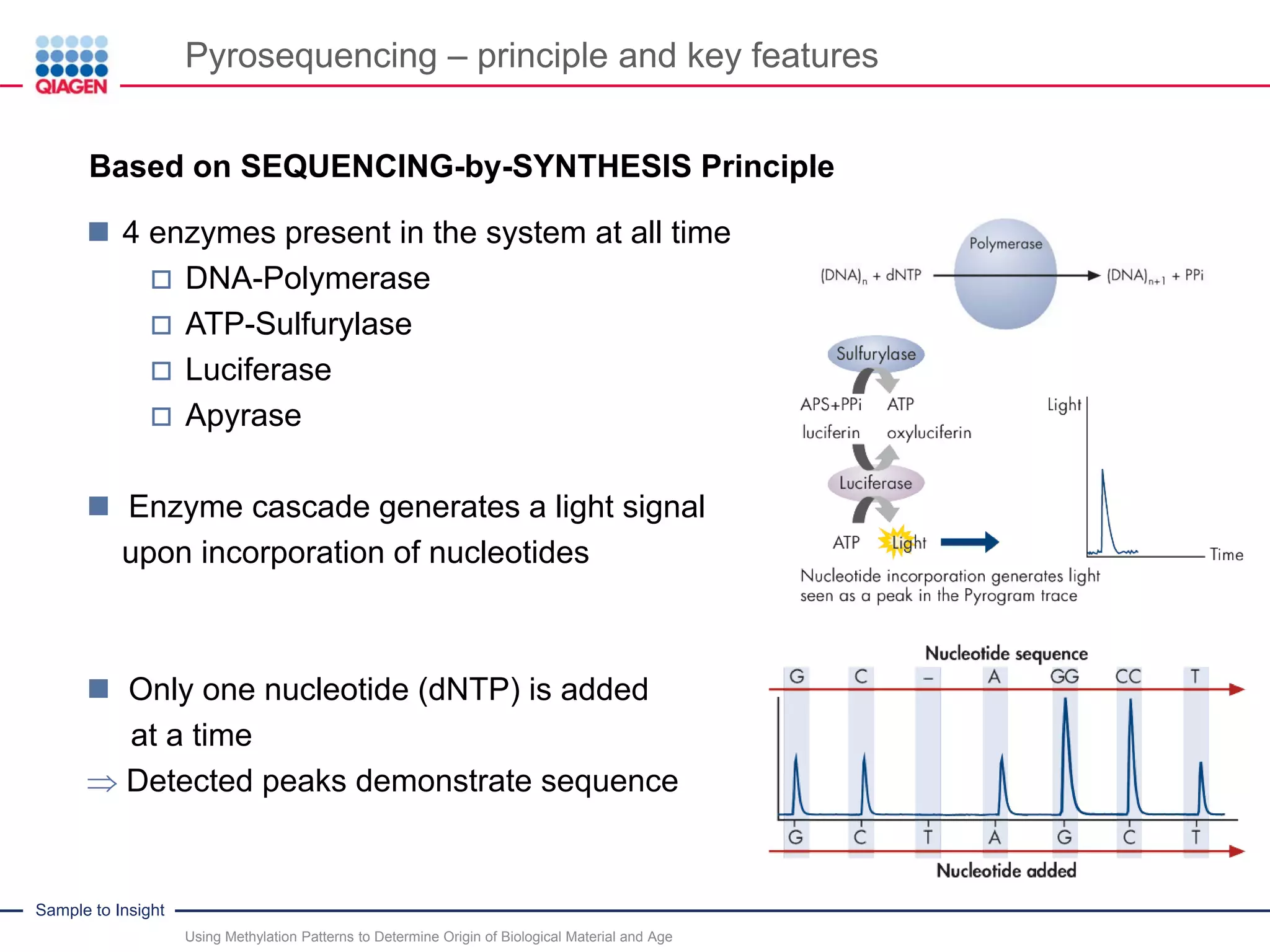 Using methylation patterns to determine origin of biological material and age | PDF