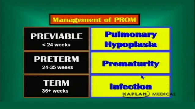 Prom | PPTX | Pregnancy | Reproductive Health