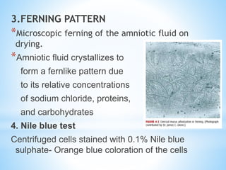 Prelabour Rupture of Membrane (PROM) by Sunil Kumar Daha | PPTX