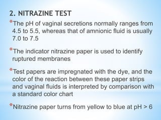 Prelabour Rupture of Membrane (PROM) by Sunil Kumar Daha | PPT