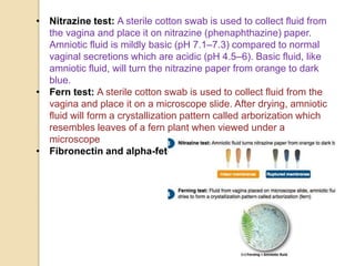 Pre-Labor Rupture of Membranes (PROM) | PPTX