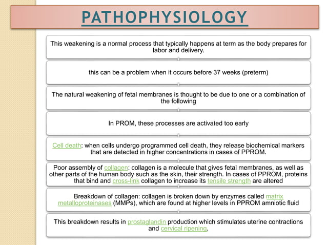 Pre-Labor Rupture of Membranes (PROM) | PPTX