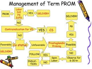 Premature rubture of membren Premature rubture of membren | PPT