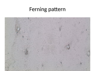 department of gynecology and obstetrics PROM.pptx