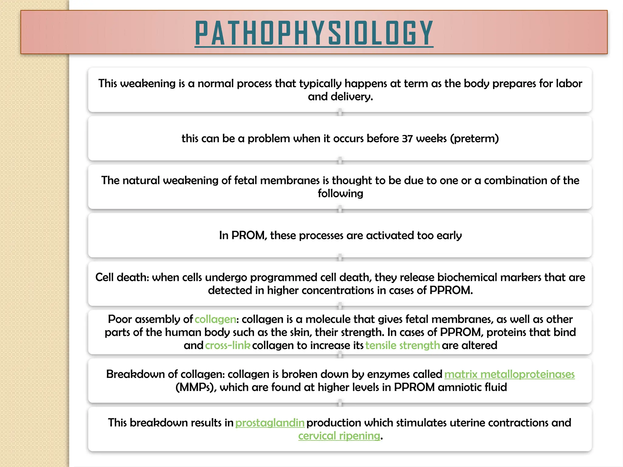 premature rupture of metastatic ins.pptx