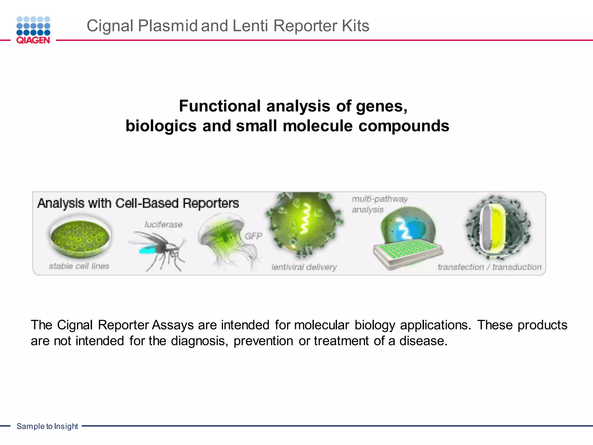 Cell-based Reporter Assays: Measure 45 Signaling Pathway Activity in ...