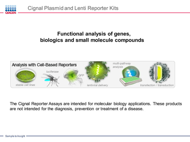 Cell-based Reporter Assays: Measure 45 Signaling Pathway Activity in ...