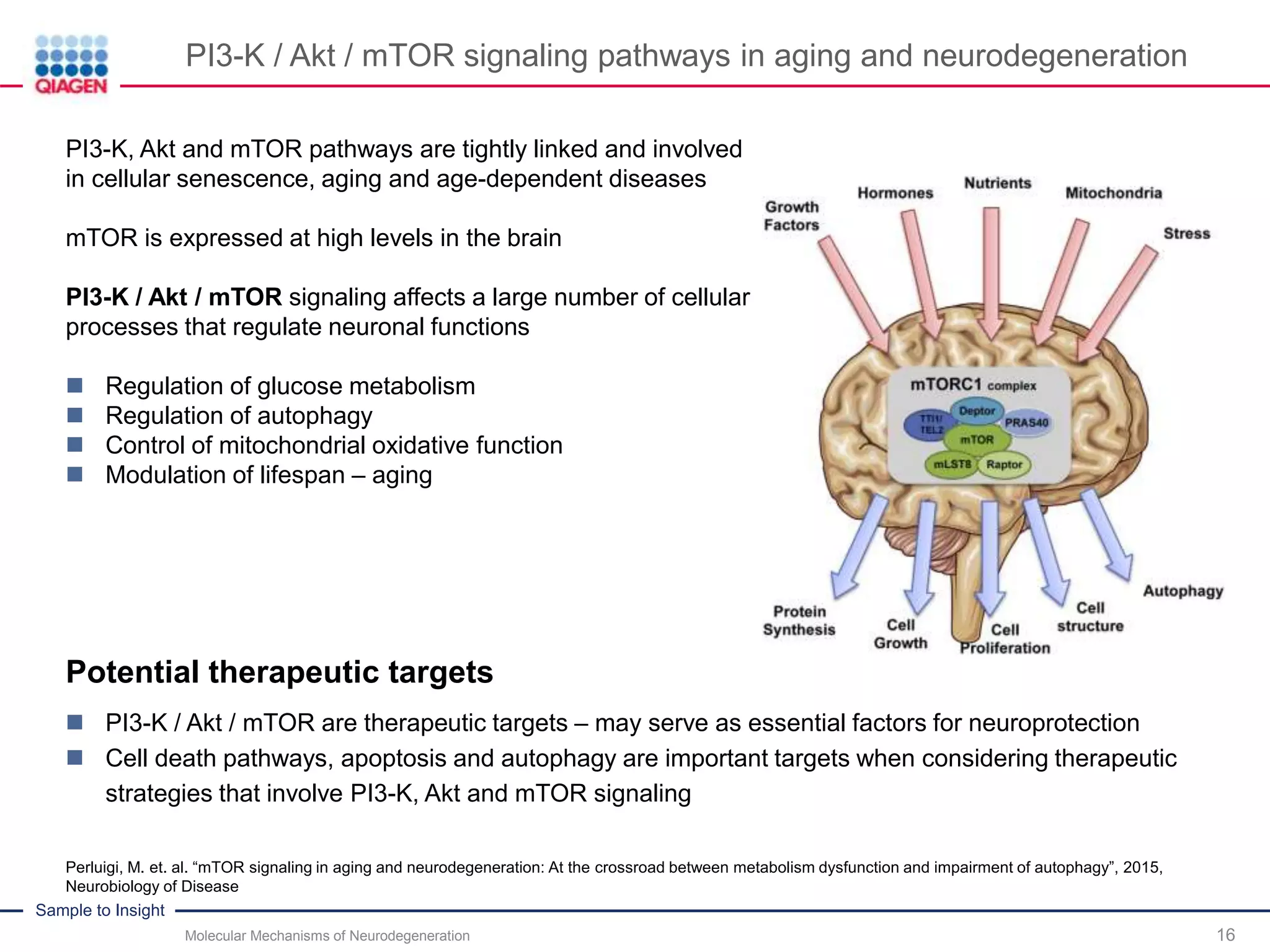 Molecular Mechanisms of Neurodegeneration: Neurodegenerative Disorders Webinar Series Part 1 | PDF