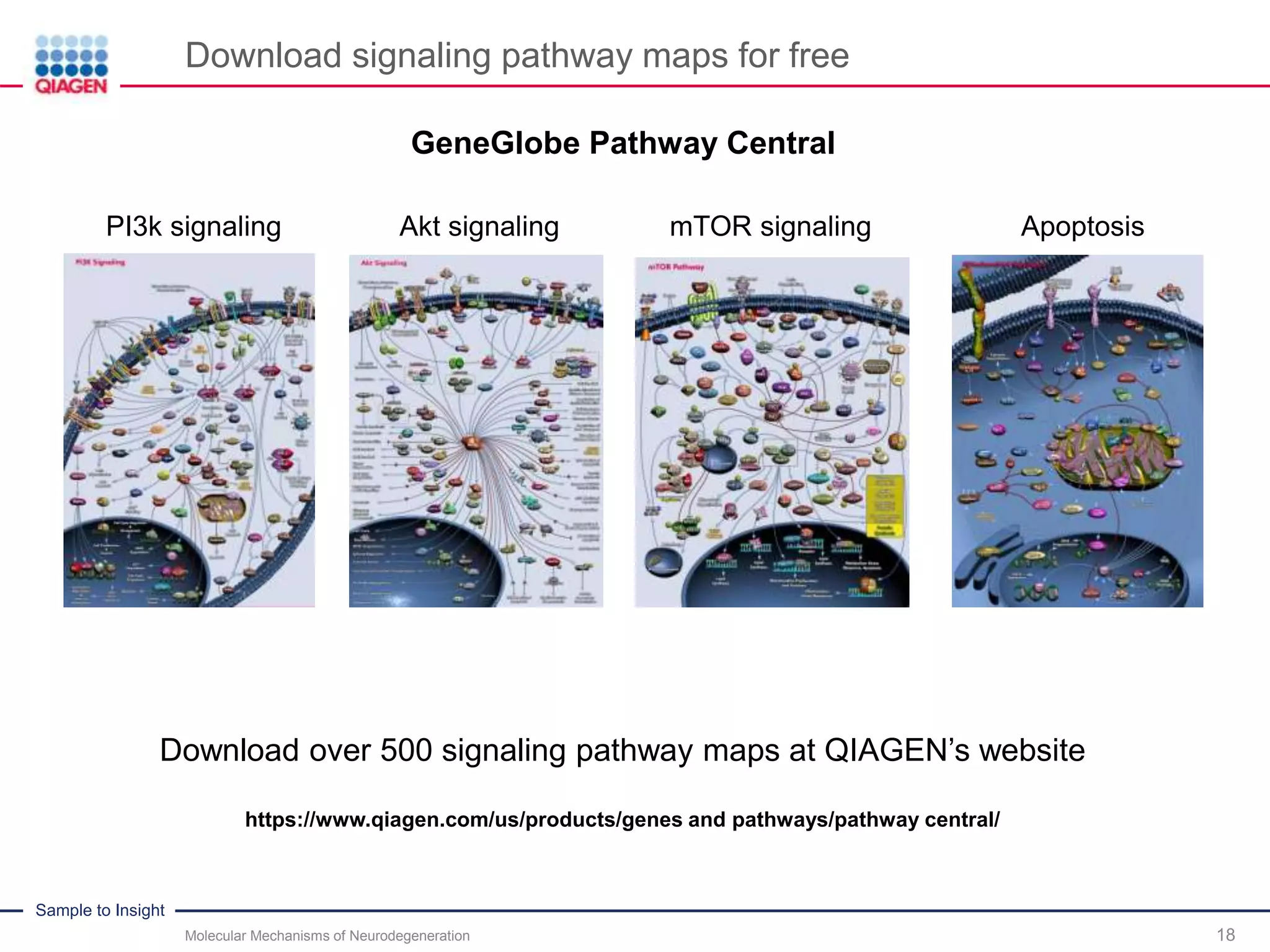 Molecular Mechanisms of Neurodegeneration: Neurodegenerative Disorders ...