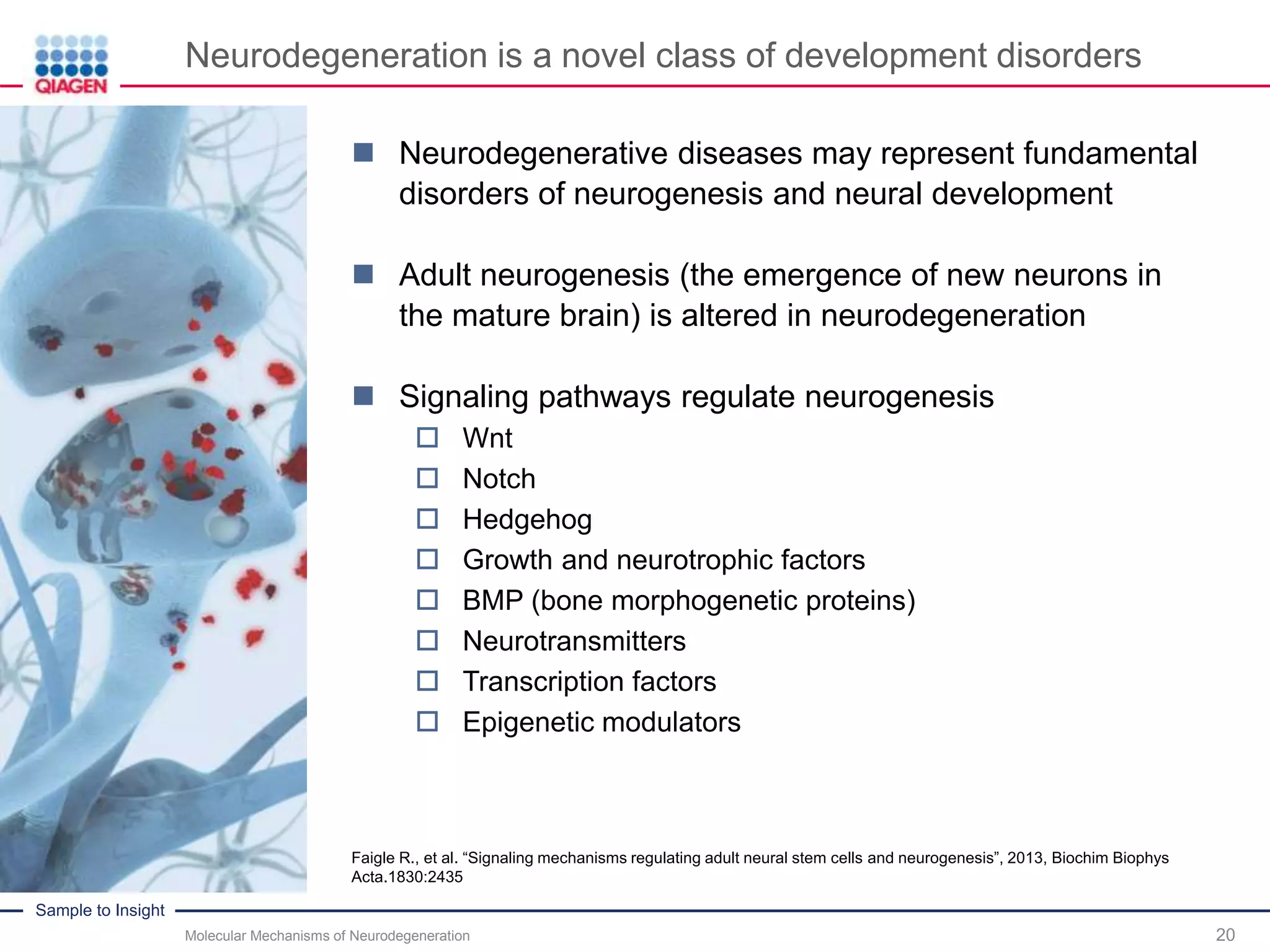 Molecular Mechanisms of Neurodegeneration: Neurodegenerative Disorders Webinar Series Part 1 | PDF