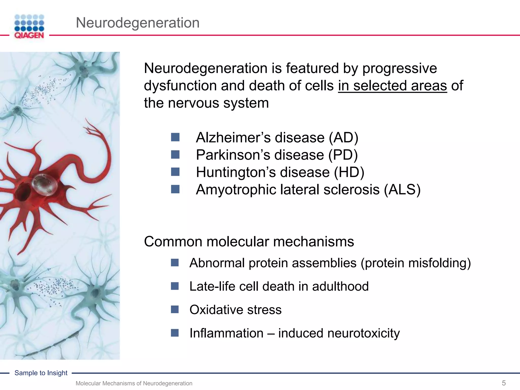 Molecular Mechanisms of Neurodegeneration: Neurodegenerative Disorders ...