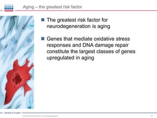 Molecular Mechanisms of Neurodegeneration: Neurodegenerative Disorders ...