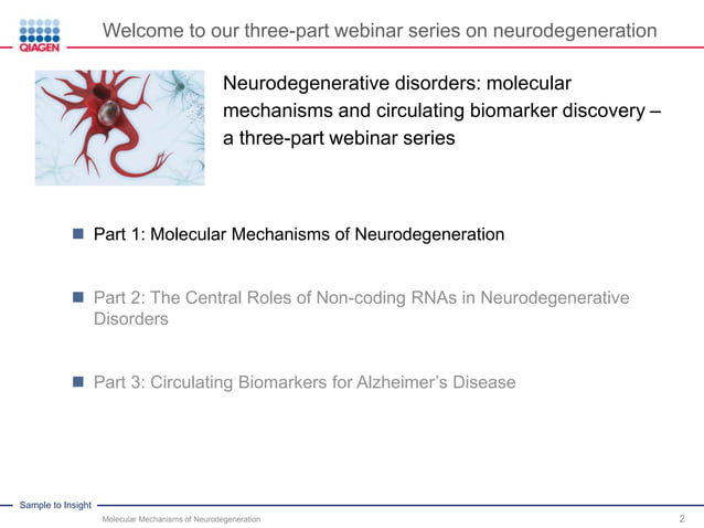 Molecular Mechanisms of Neurodegeneration: Neurodegenerative Disorders ...