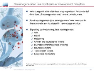 Molecular Mechanisms of Neurodegeneration: Neurodegenerative Disorders Webinar Series Part 1 | PDF