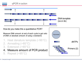 Qrt Pcr
