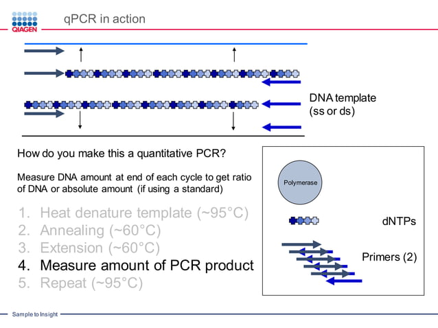 Introduction to Real Time PCR (Q-PCR/qPCR/qrt-PCR): qPCR Technology ...