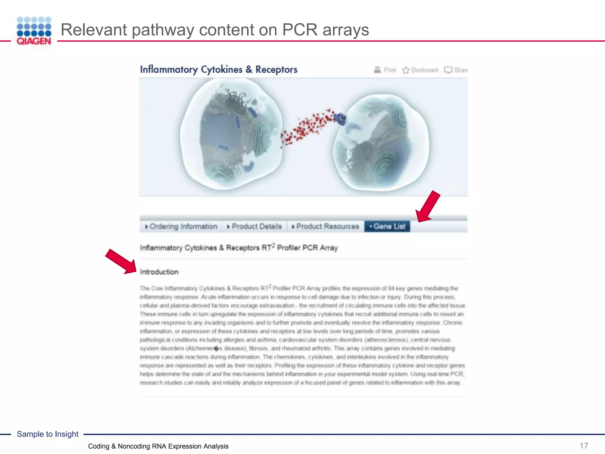 Advanced Real Time Pcr Array Technology Coding And Noncoding Rna