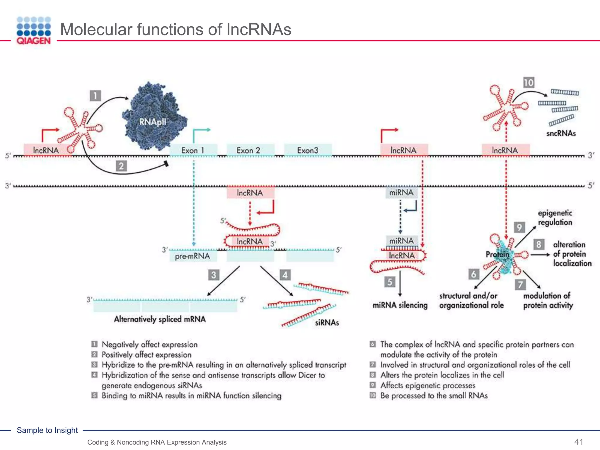Advanced Real Time Pcr Array Technology Coding And Noncoding Rna