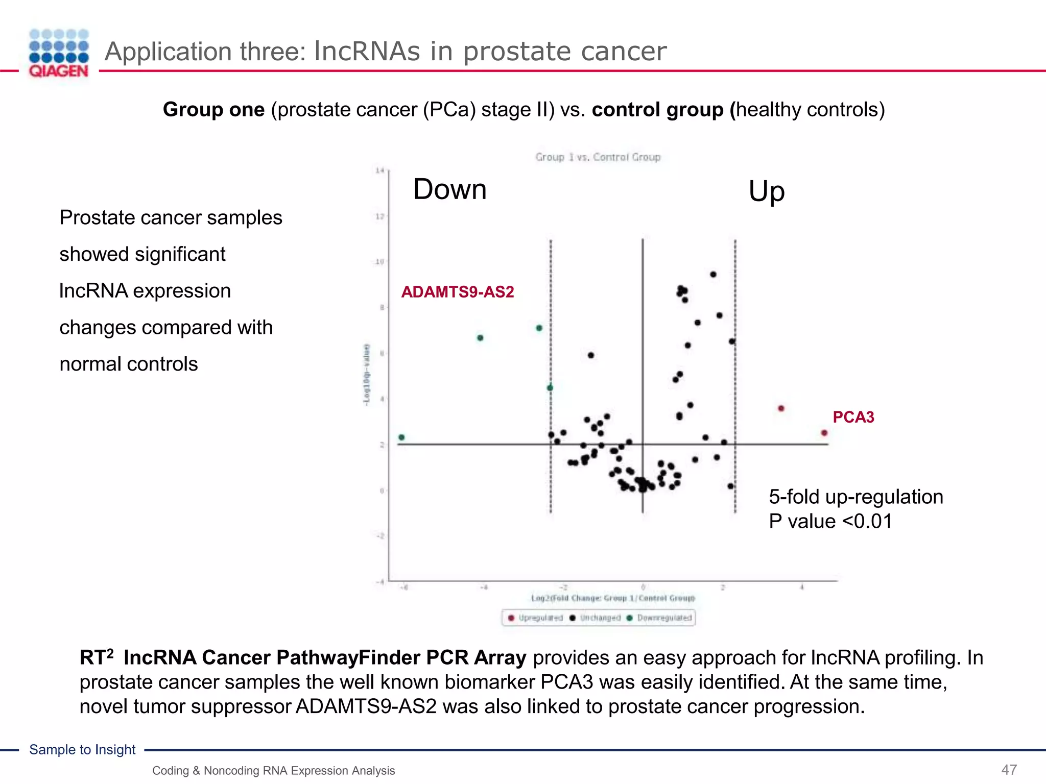 Advanced Real Time Pcr Array Technology Coding And Noncoding Rna