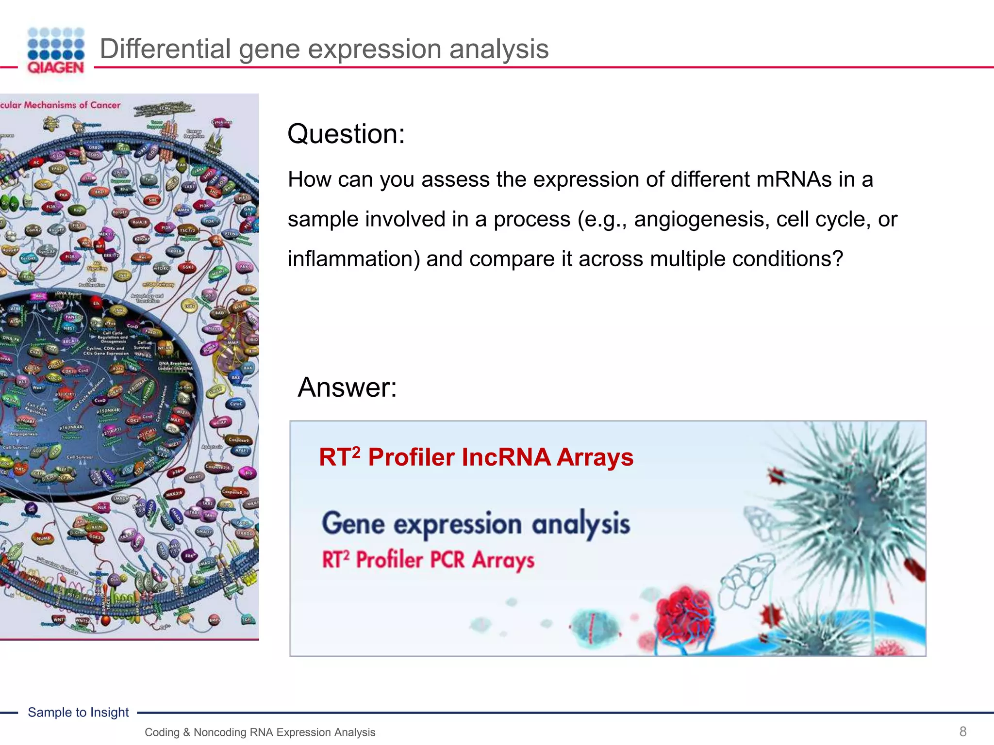Advanced Real Time Pcr Array Technology Coding And Noncoding Rna