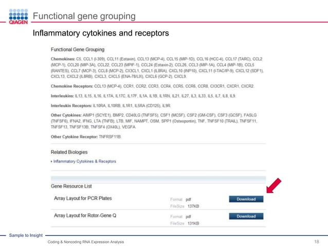Advanced Real Time Pcr Array Technology Coding And Noncoding Rna