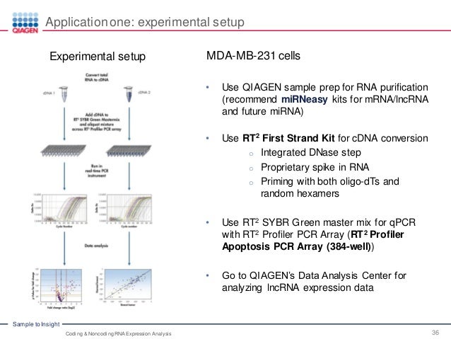 Advanced Real Time Pcr Array Technology Coding And Noncoding Rna Ex
