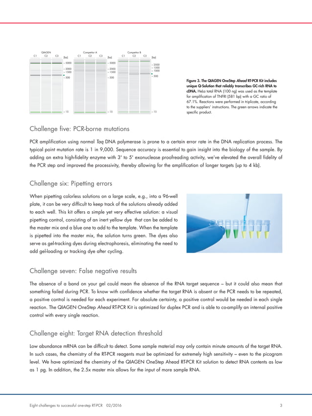 8 Challenges to Successful One-Step RT-PCR | PDF