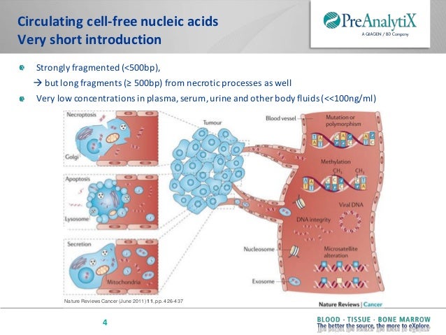 New Technology and Workflow for Integrated Collection, Stabilization