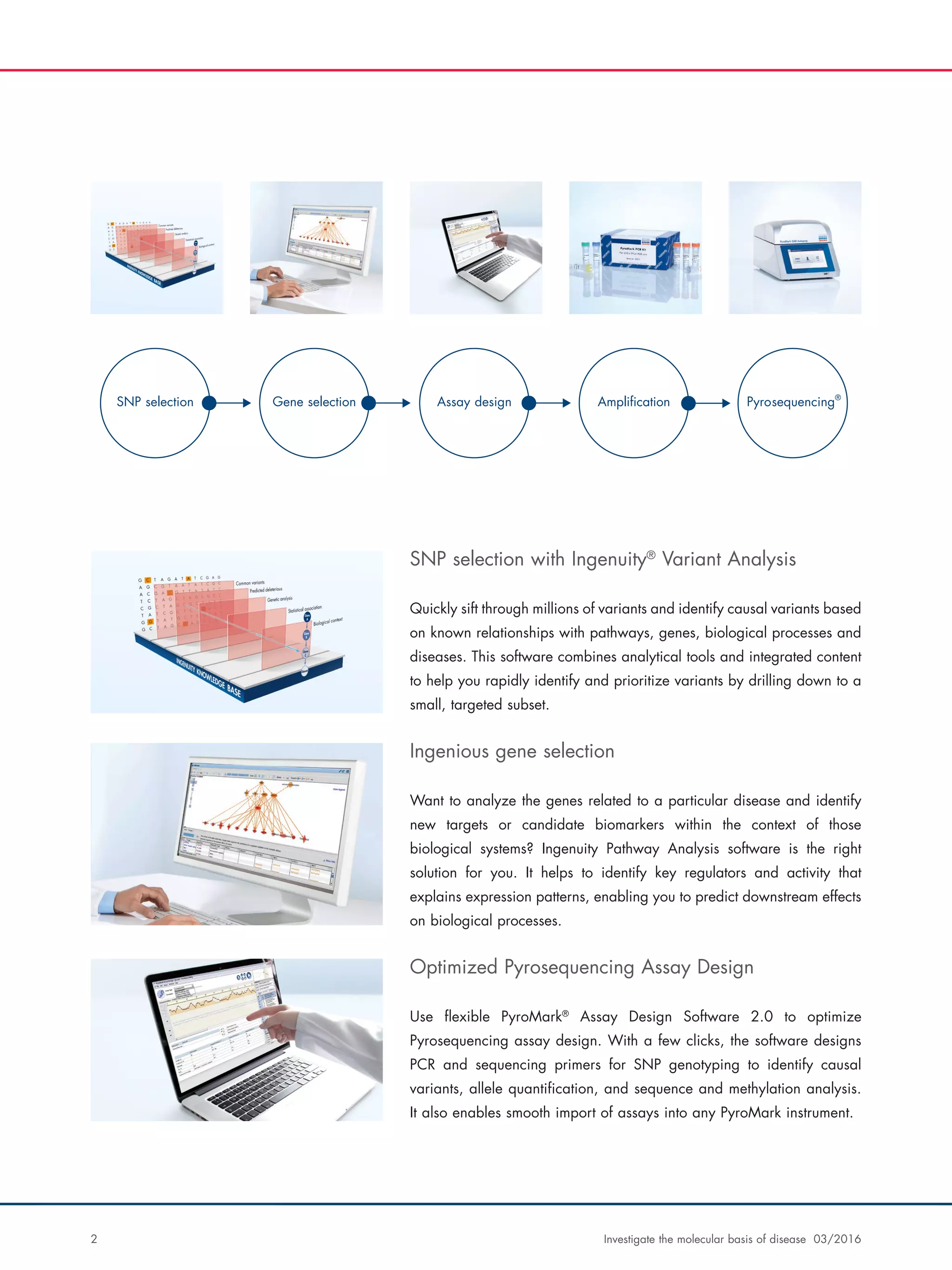Investigate the Molecular Basis of Disease | PDF